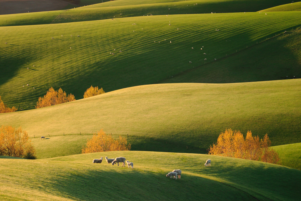 Welcome to Clutha, New Zealand | Clutha NZ